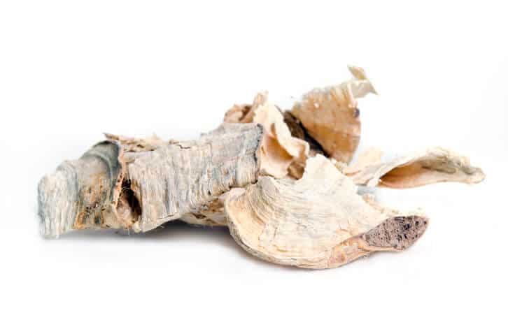 What Are The Benefits Of Butea Superba? A Guide