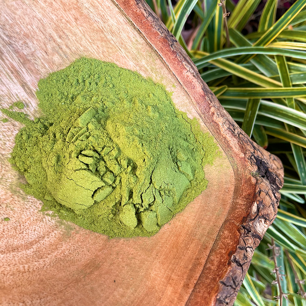 Chaya Powder - Tree Spinach Chaya Plant Leaf | Back To Your Roots Herbs