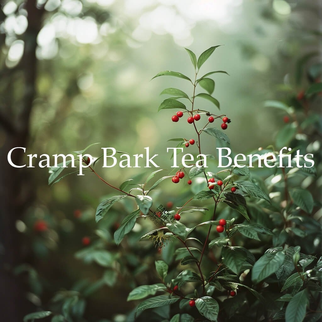Cramp Bark Tea Benefits: Uses, Side Effects, & More