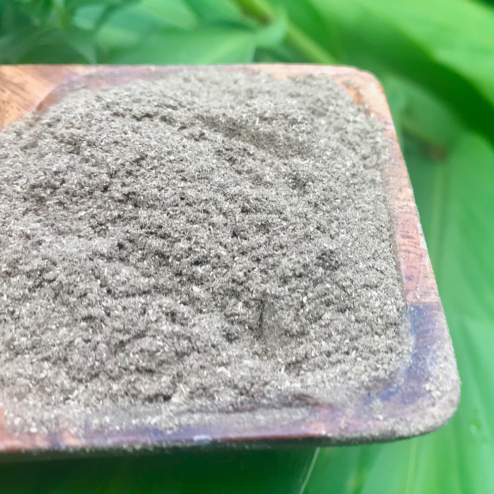 Best Amor Seco Powder (Desmodium Adscendens) | Herbal Respiratory Support