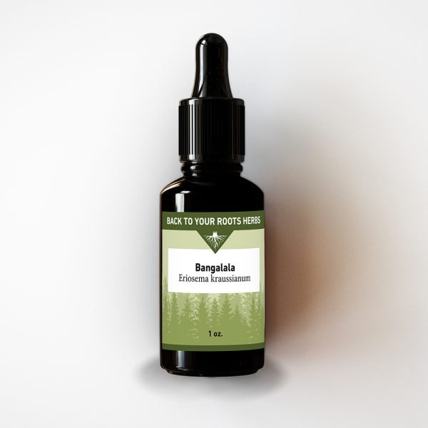 Bangalala Tincture (Eriosema) | Back To Your Roots Herbs