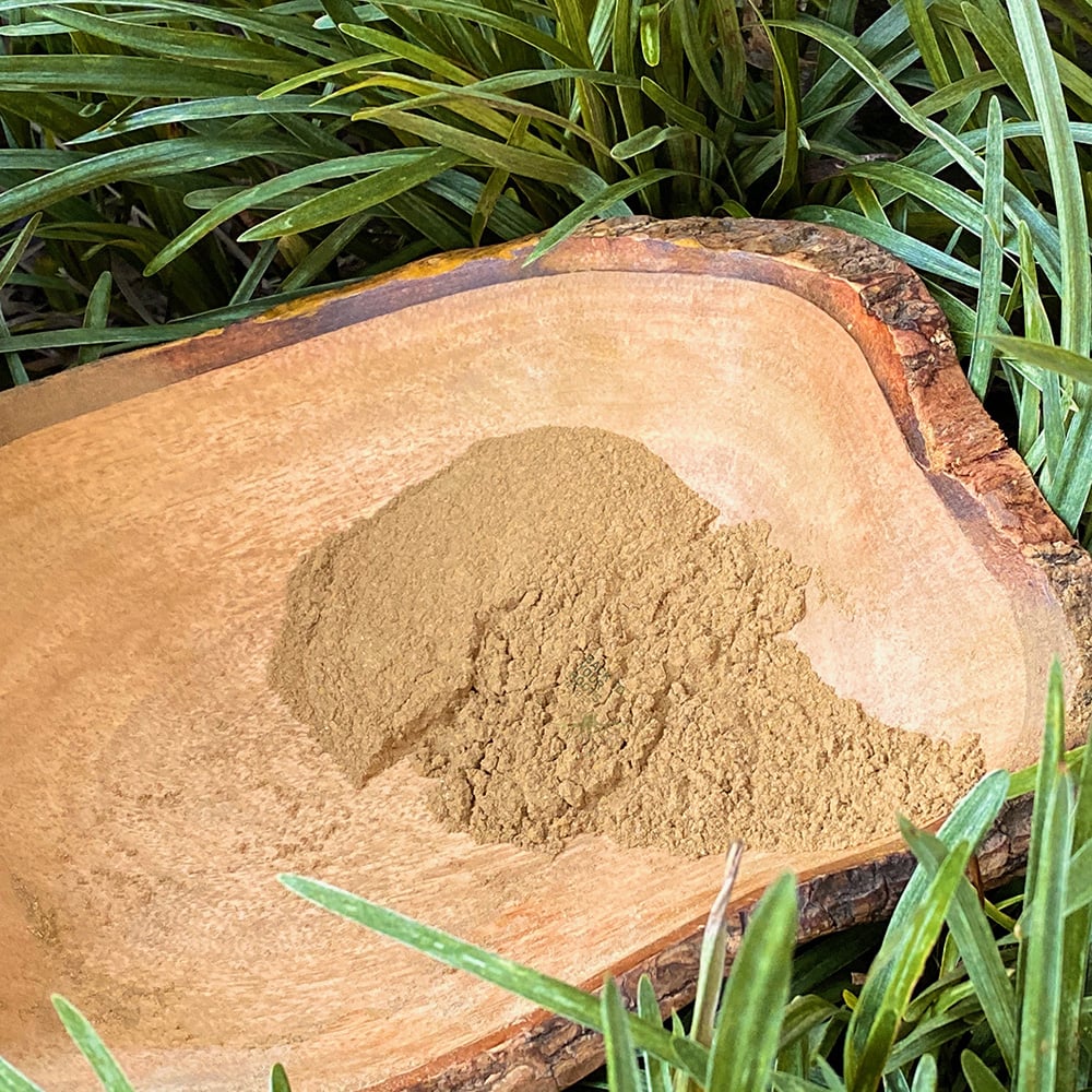 Bacopa Monnieri Powder (Brahmi) | Back To Your Roots Herbs