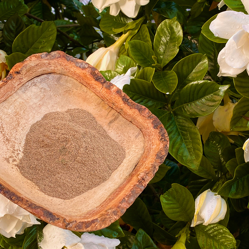 Pure White Lotus Flower Powder (Nelumbo Nucifera) 2oz - BTYRH