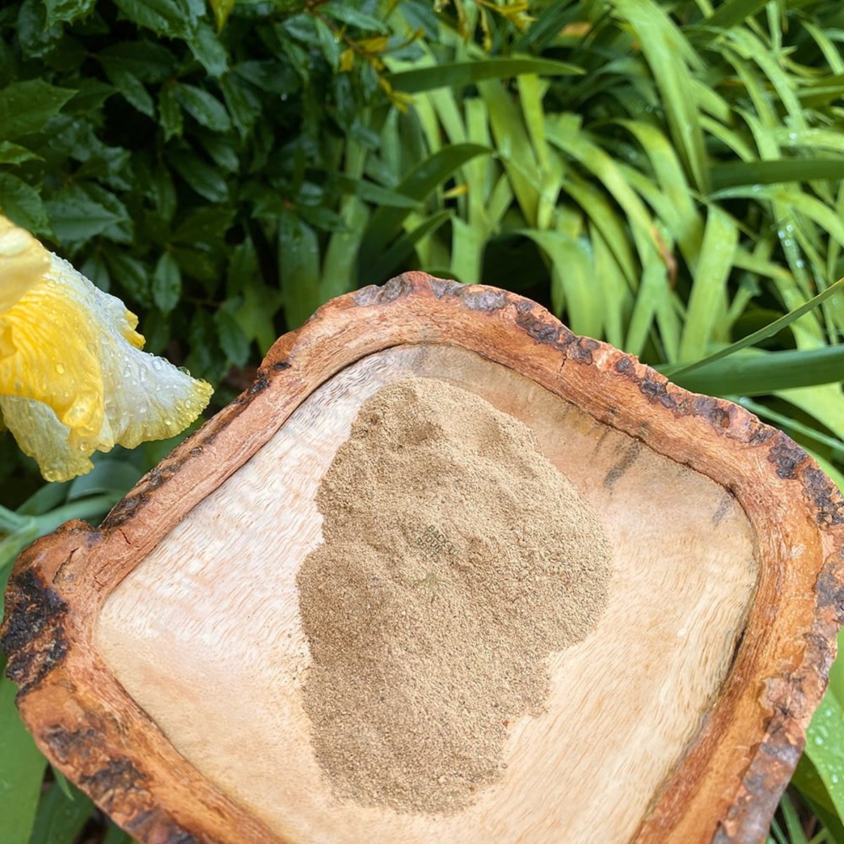 Congo Dust Powder (Ankoro) | Back To Your Roots Herbs