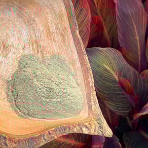 Parasite And Worm Cleanse Powder | Back To Your Roots Herbs