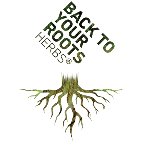 Yellow Dock Root Benefits: A Guide To Medicinal Uses And Health Effects