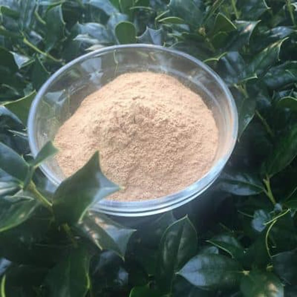 Adaptogens | Back To Your Roots Herbs