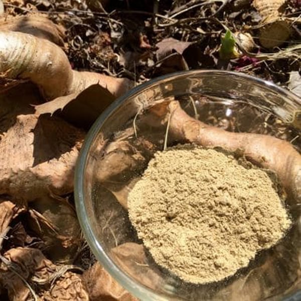 Mpesu Powder | Back To Your Roots Herbs