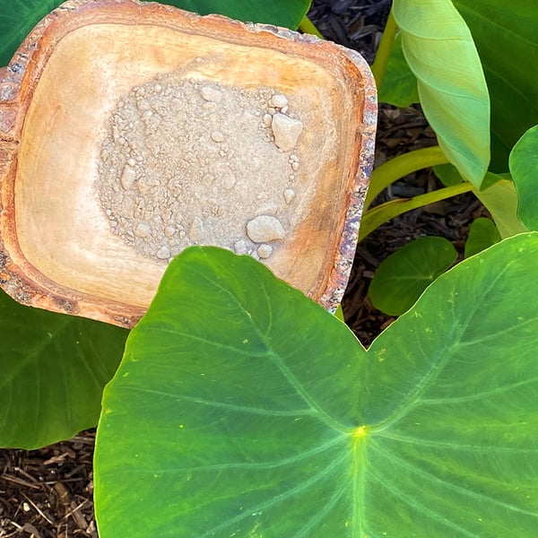 Pain Reduction Herbs | Back To Your Roots Herbs