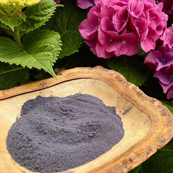 Butterfly Pea Flower Powder | Back To Your Roots Herbs