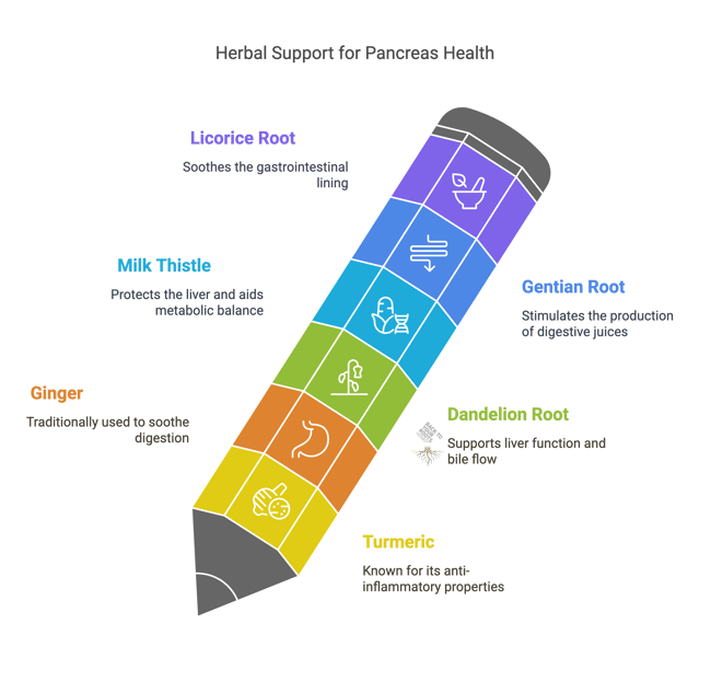 Pancreas Detox: How To Naturally Cleanse And Support Your Pancreas And ...