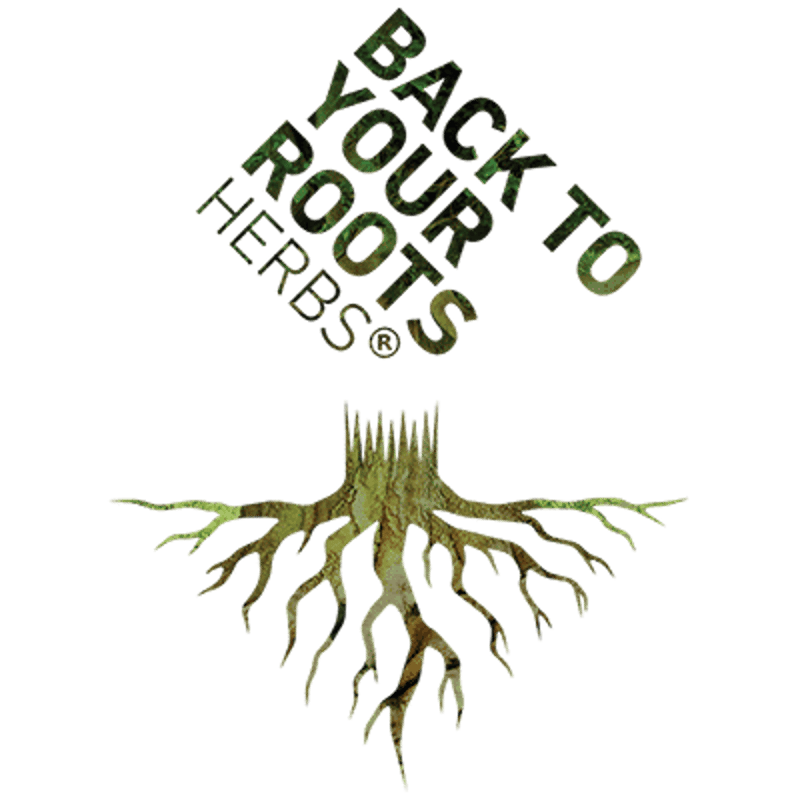 Yellow Dock Root Benefits: A Guide To Medicinal Uses And Health Effects