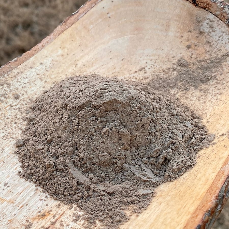 Poria Mushroom Powder (Fu Ling) | Back To Your Roots Herbs