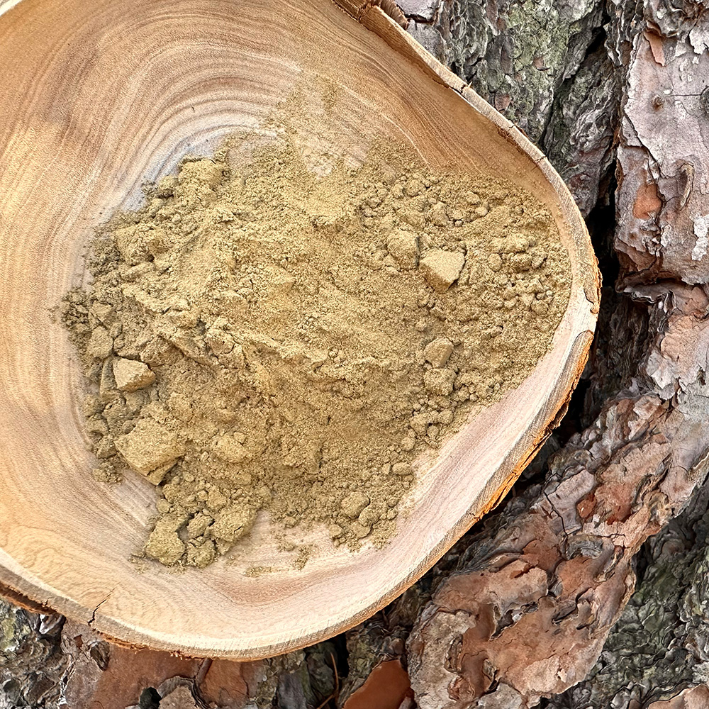 Cissus Quadrangularis Powder | Wild-Harvested Whole Stem | Back To Your ...