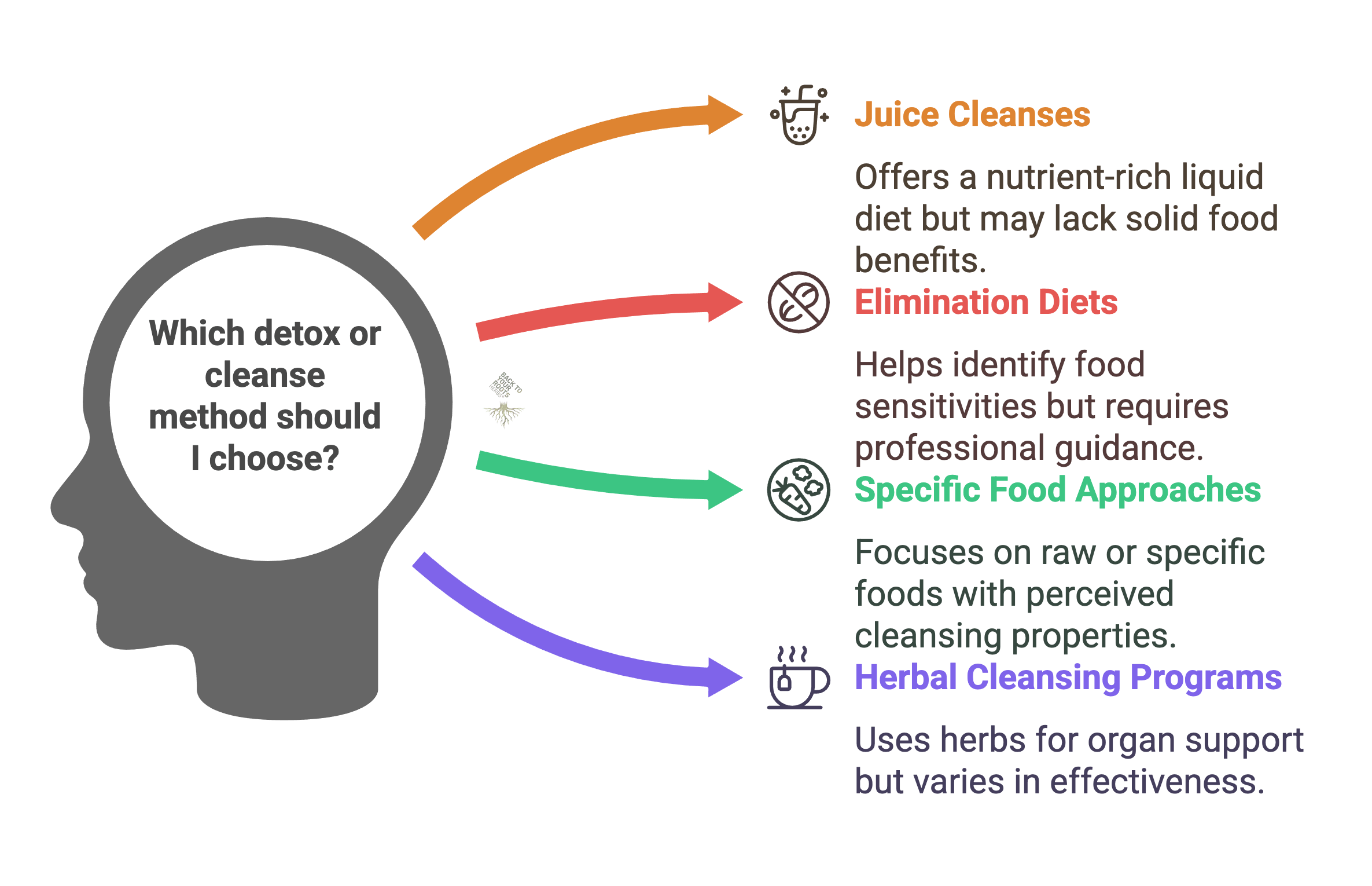 Body Cleanse Detox: Methods Explained, Effectiveness & Supporting Your ...