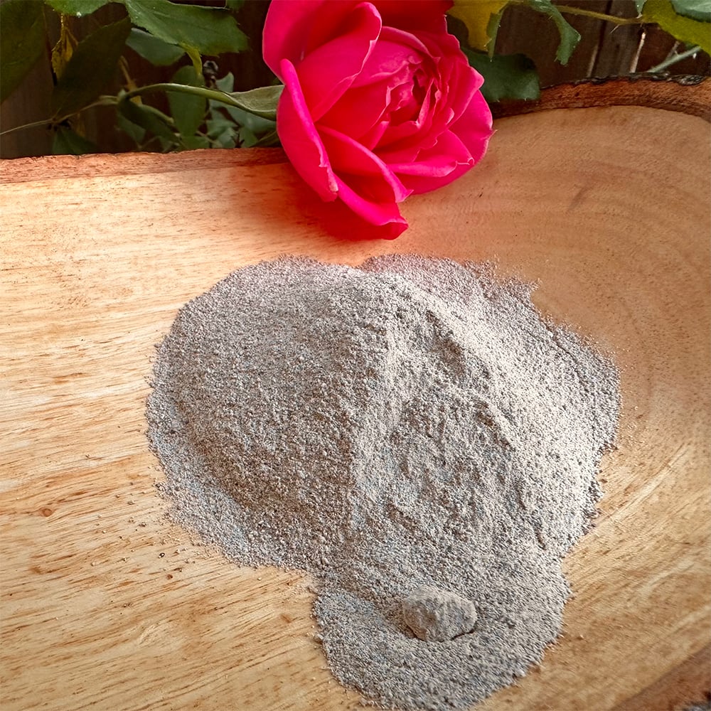 Kola Nut Powder | Back To Your Roots Herbs