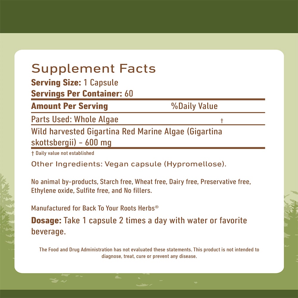 Gigartina Red Marine Algae Capsules (60ct) | Back To Your Roots Herbs