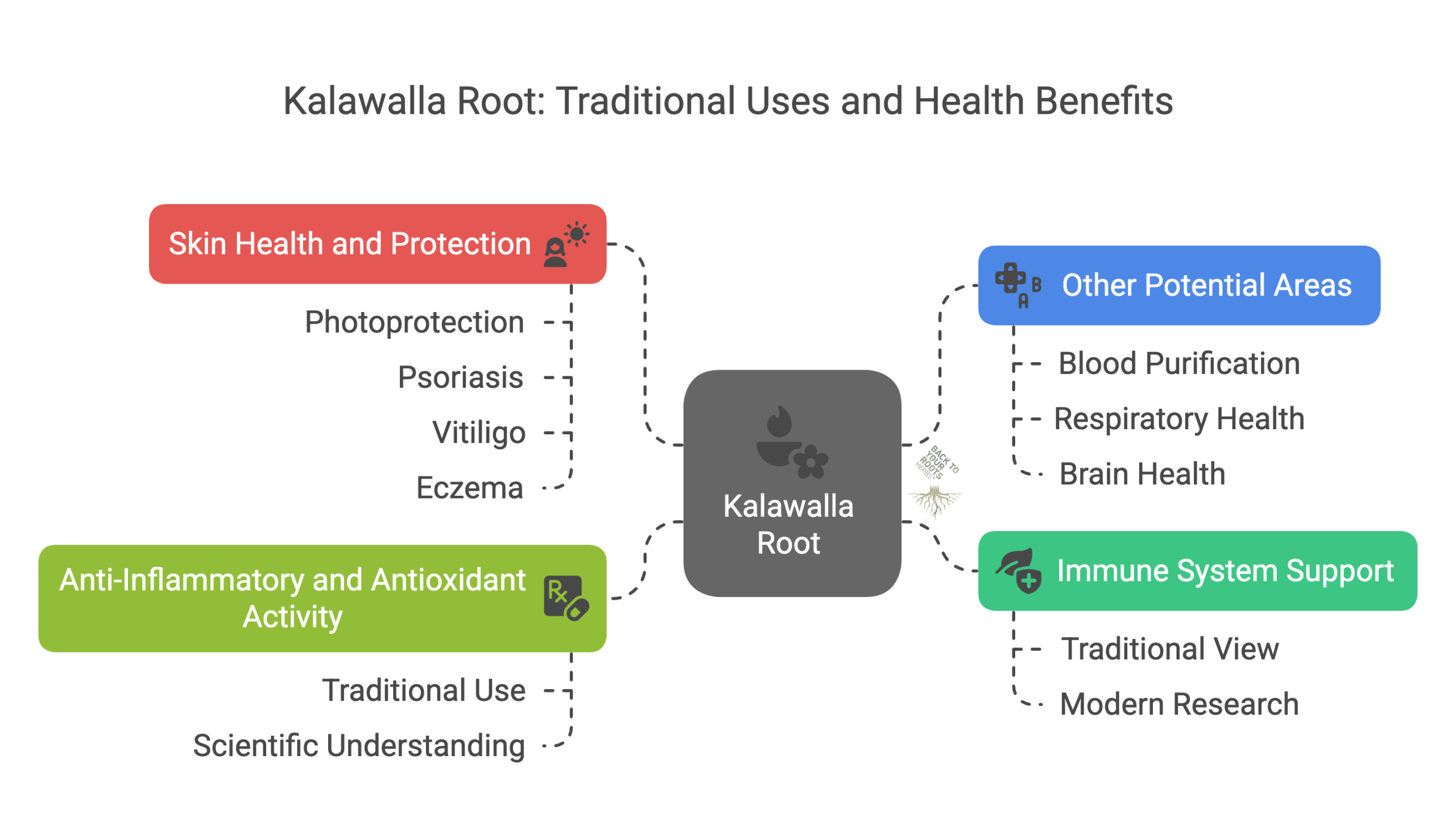 Kalawalla Root Benefits: Uses Of Polypodium Herb For Skin Health And ...
