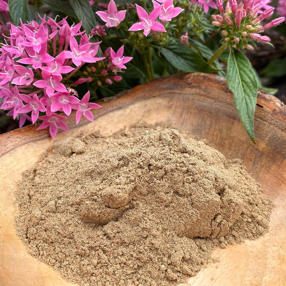 Athletic Muscle Growth Powder | Back To Your Roots Herbs