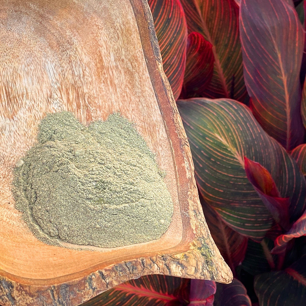 Daily Multivitamin Powder | Whole Food Vitamin Mineral Supplement | BTYRH