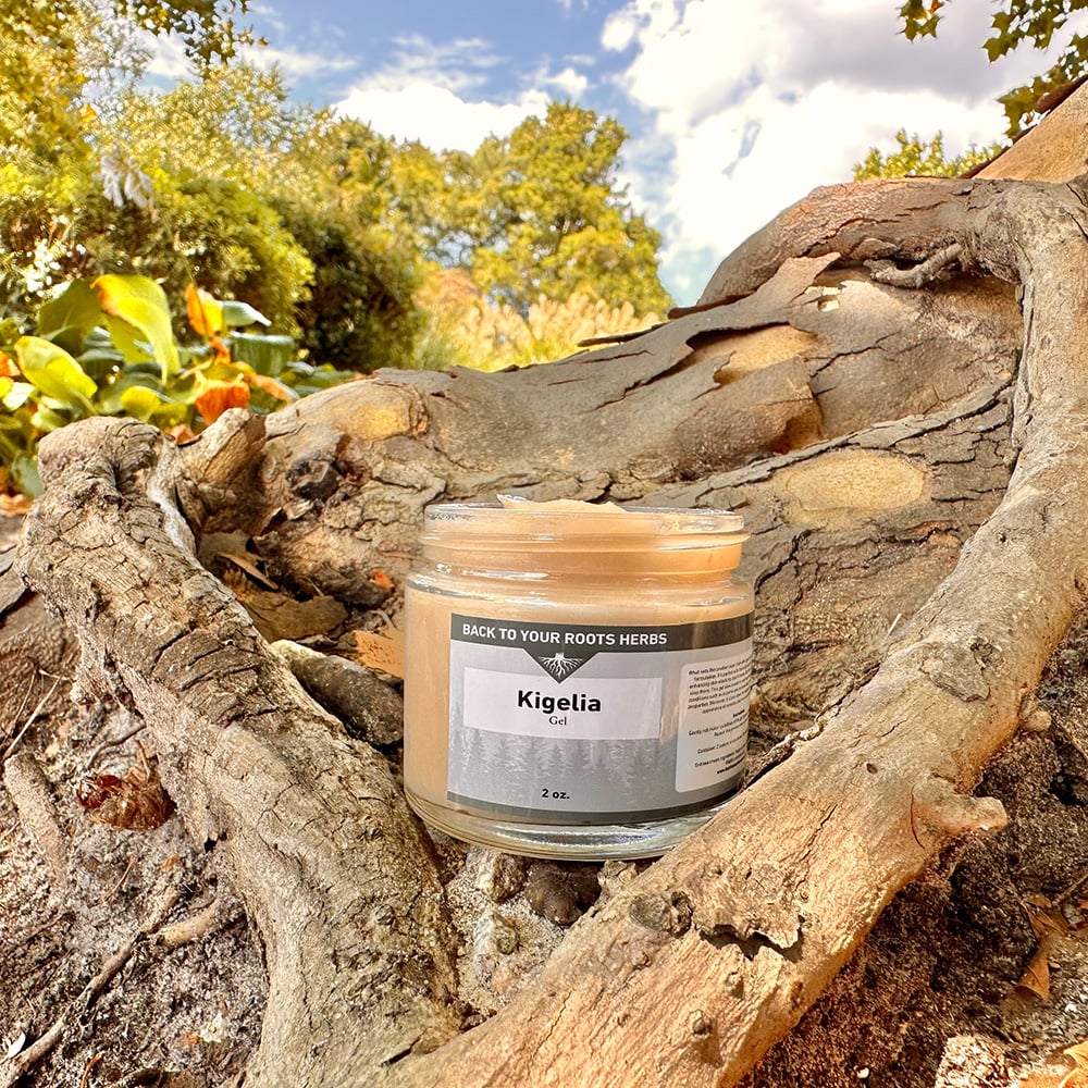 Kigelia Africana Gel (Sausage Tree) | Back To Your Roots Herbs