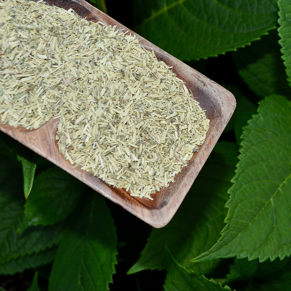 Adaptogens | Back To Your Roots Herbs