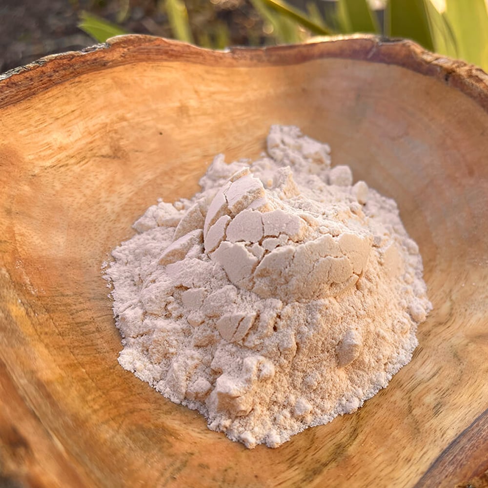 Cupuacu Fruit Powder (Theobroma) | Back To Your Roots Herbs