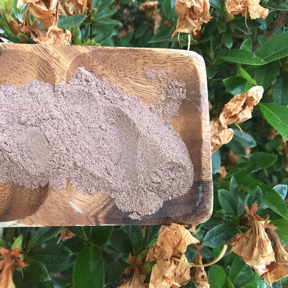 Jujube Fruit Powder | Back To Your Roots Herbs