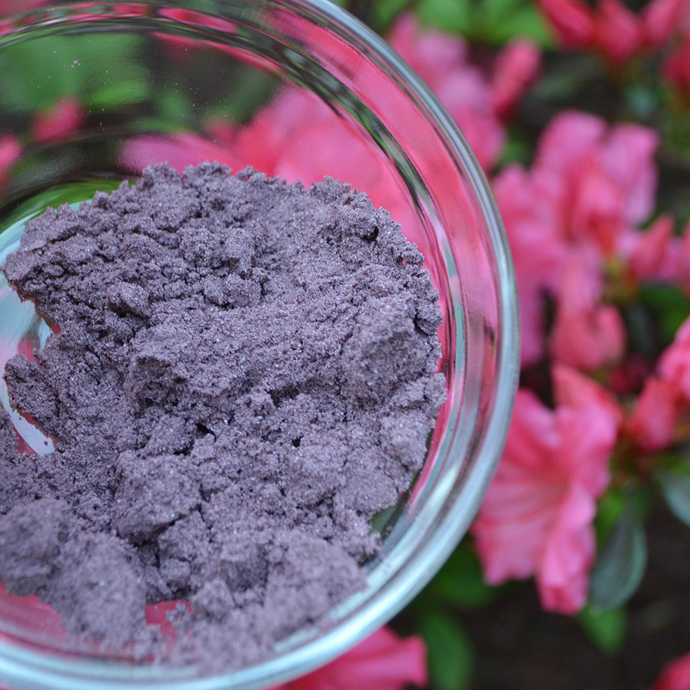 Purple Corn Powder | Back To Your Roots Herbs