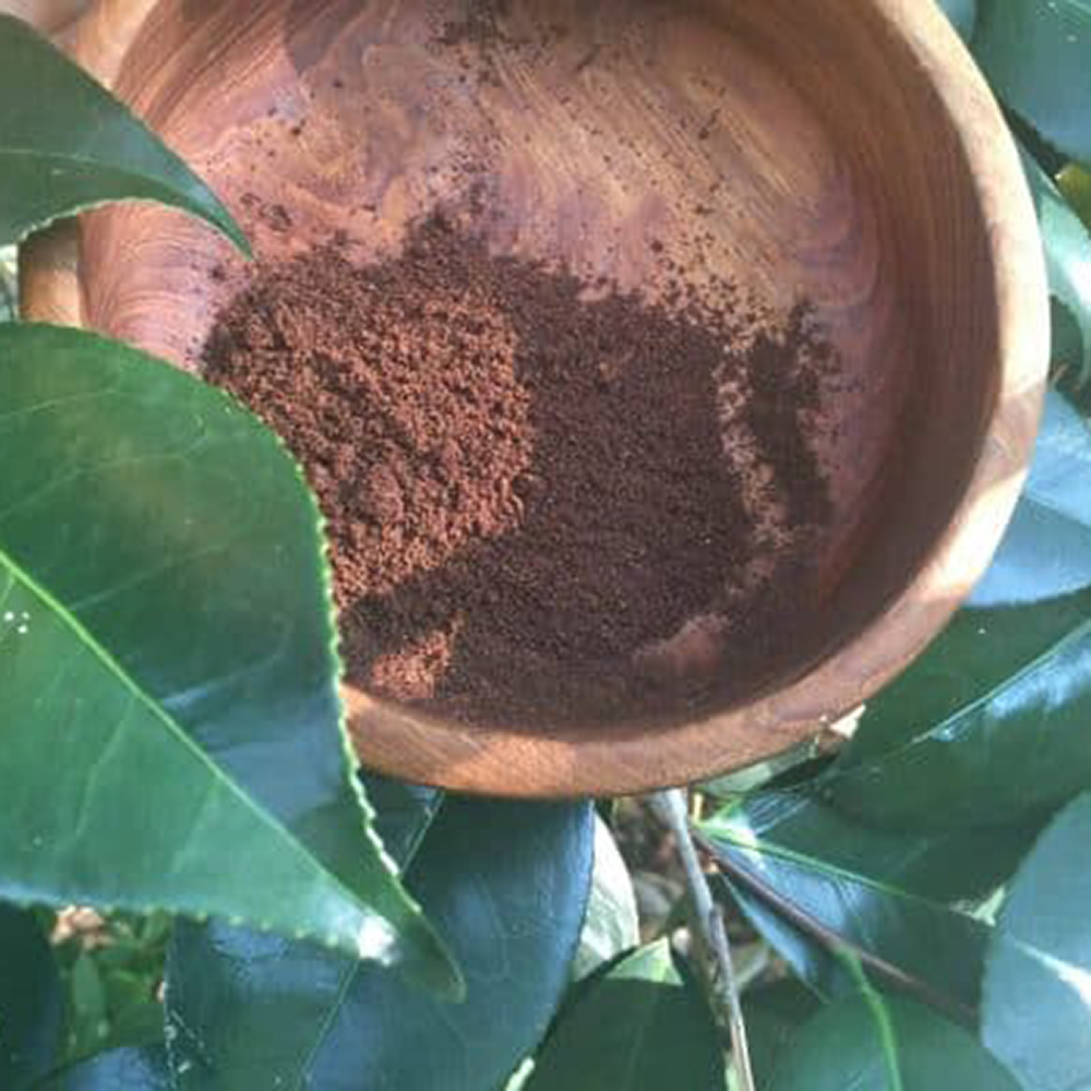 Organic Schisandra Berry Powder | Schisandra Chinensis Wu Wei Zi Whole ...
