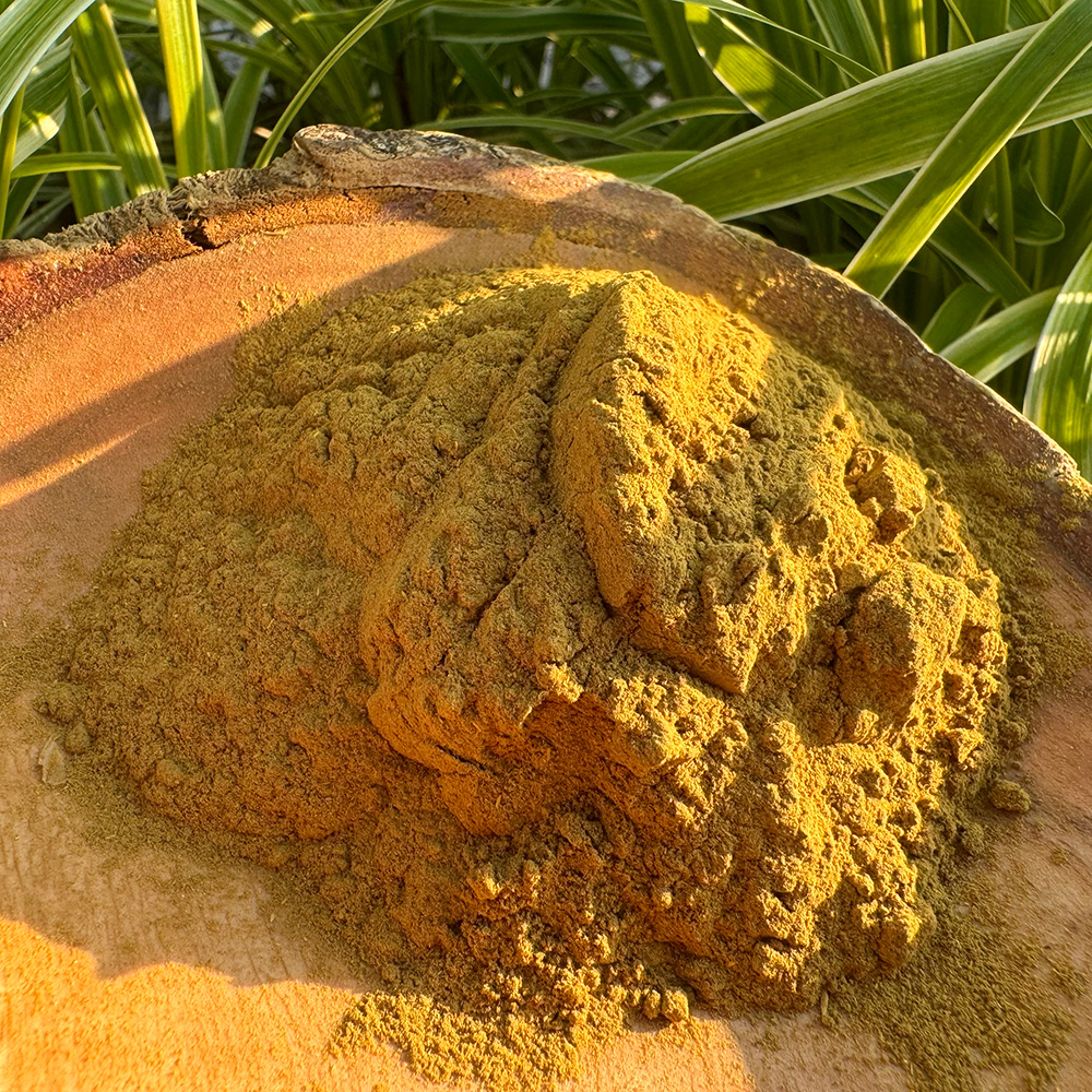 Barberry Root Powder | Back To Your Roots Herbs