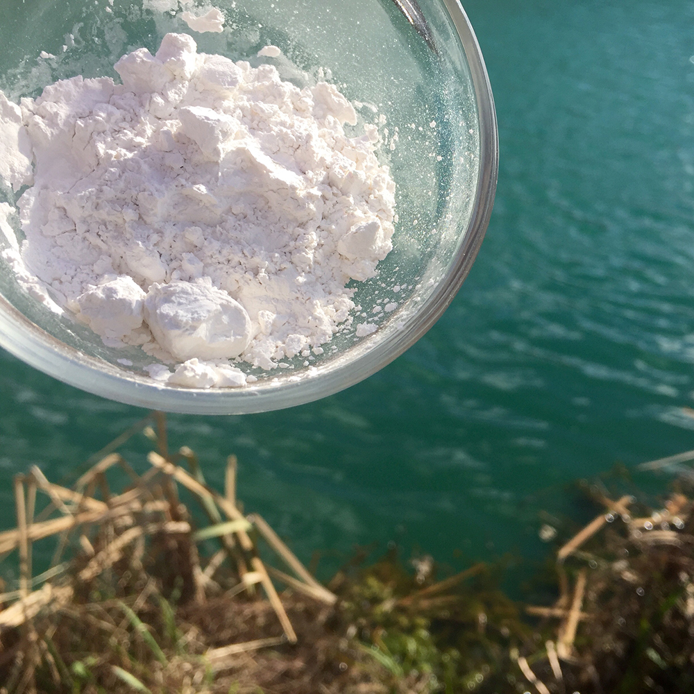 Coral Calcium Powder (Okinawa) | Back To Your Roots Herbs