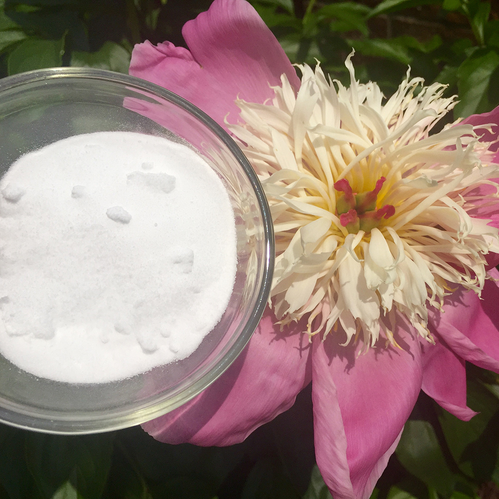 Pain Reduction Herbs | Back To Your Roots Herbs