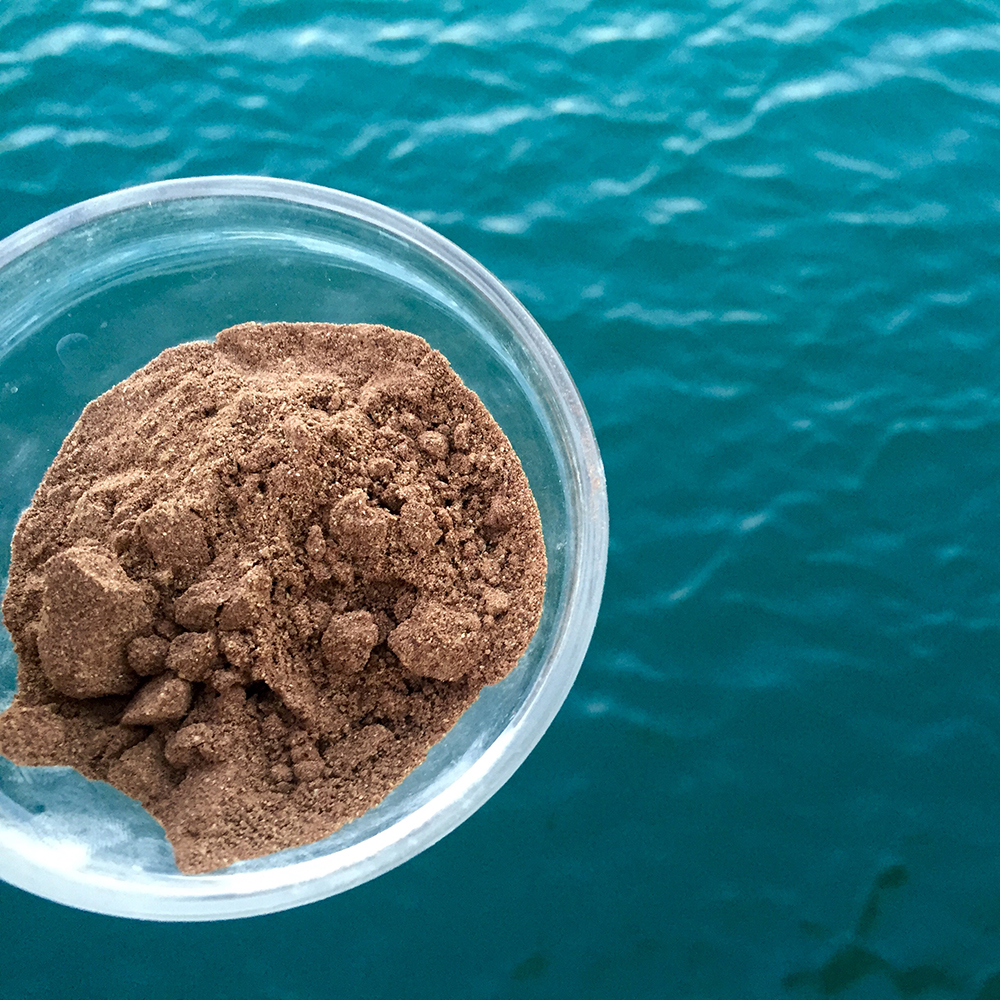 Mukombero Roots | Back To Your Roots Herbs