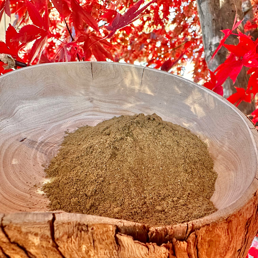 Thunbergia Laurifolia Powder Extract | Rang Jued Leaf Powder | Back To ...