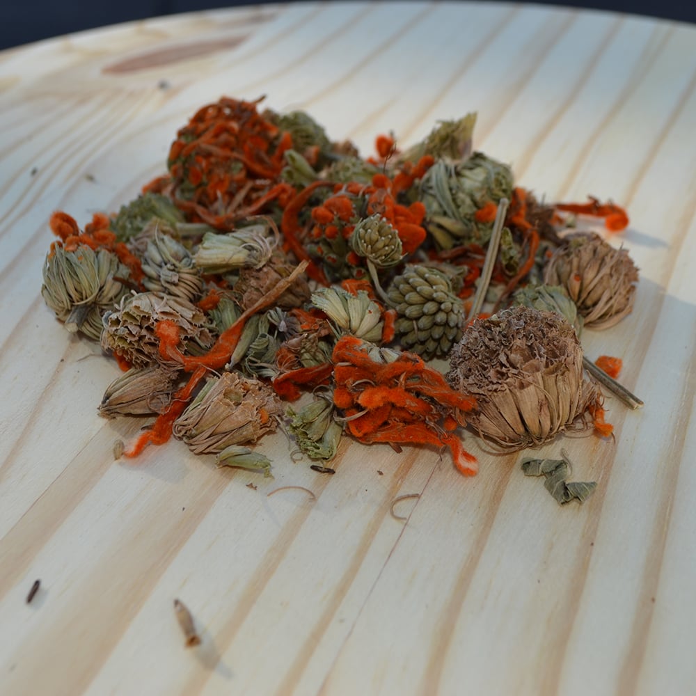Wild Dagga Flowers | Leonotis Leonurus Petals 1oz | Back To Your Roots ...