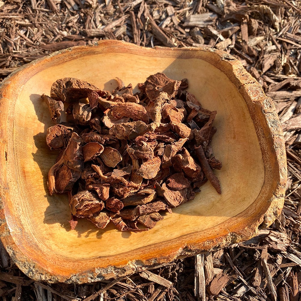 African Geranium Powder (Umckaloabo) | Back To Your Roots Herbs