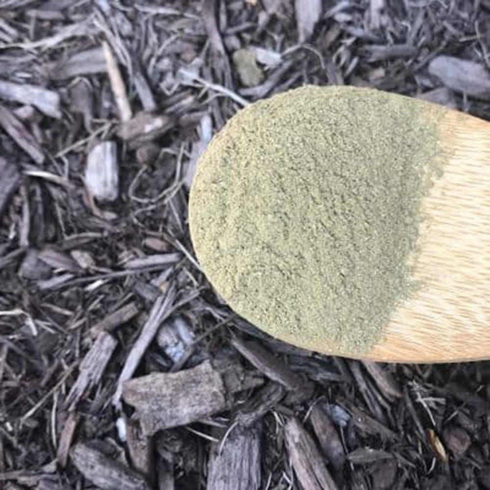 Pain Reduction Herbs | Back To Your Roots Herbs