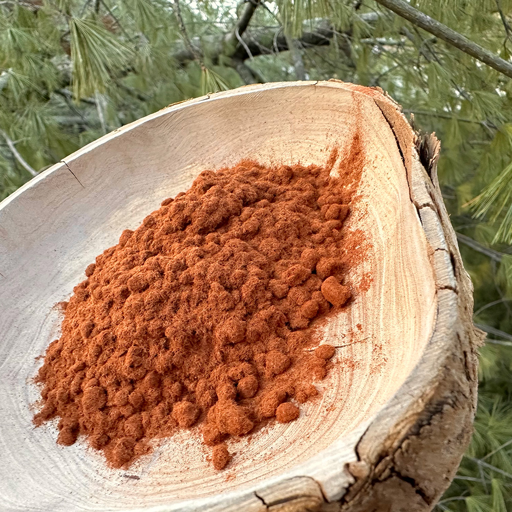 Yohimbe Bark Powder (Pausinystalia Johimbe) 2 Oz | BTYRH